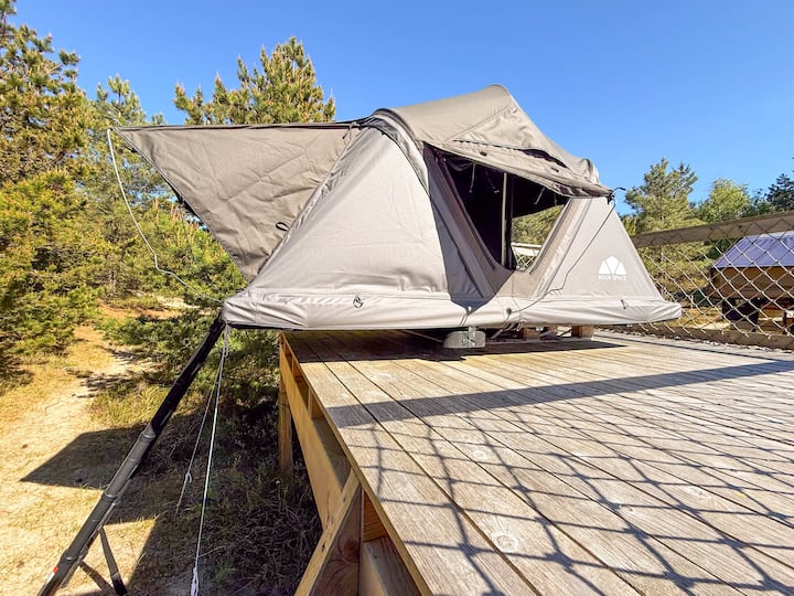 Heideläufer Im Dachzelt Dorf Amrum - Amrum