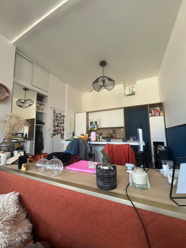 Appartement Lumineux Et éQuipé - 리옹