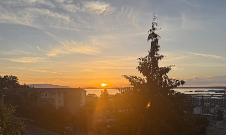 The Garden St "Penthouse" Huge Views, In-town, Wwu - Bellingham, WA