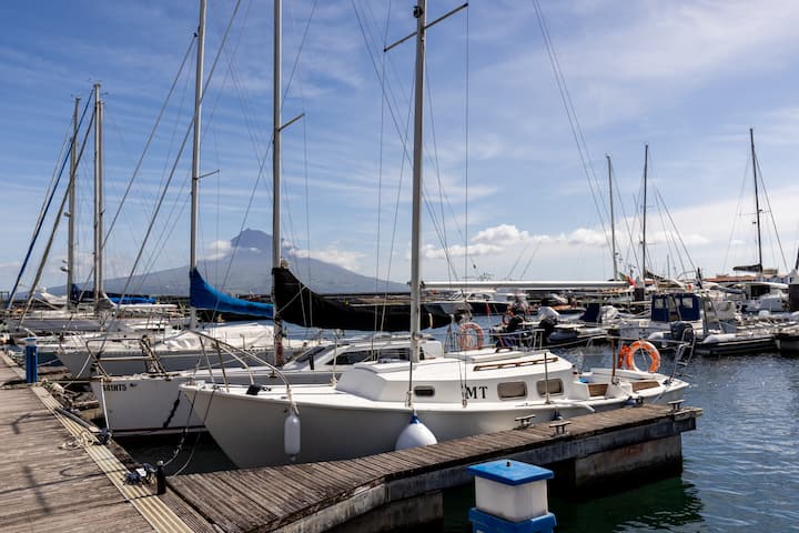 Taurus Ii - A Floating Experience - Pico Island