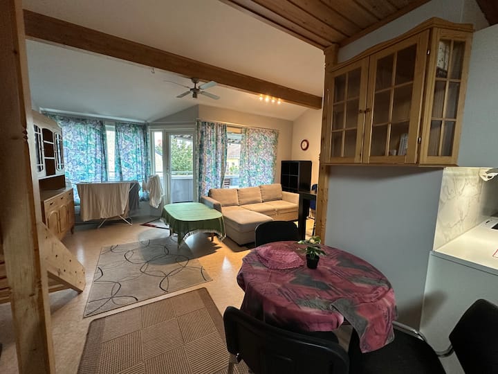 Sentral Fem Roms Leilighet - Oslo