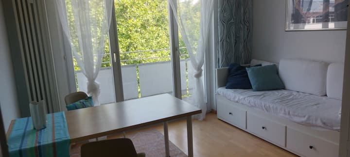 Helle Wohnung, Nah Am Rhein, Blick Ins Grüne! - Mainz