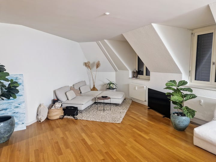 Beautiful Apartment In The Neustadt Lucerne - Luzern