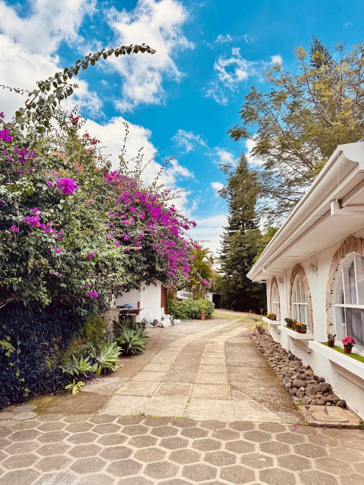 Casa Azaleas En Escazu - San José, Costa Rica