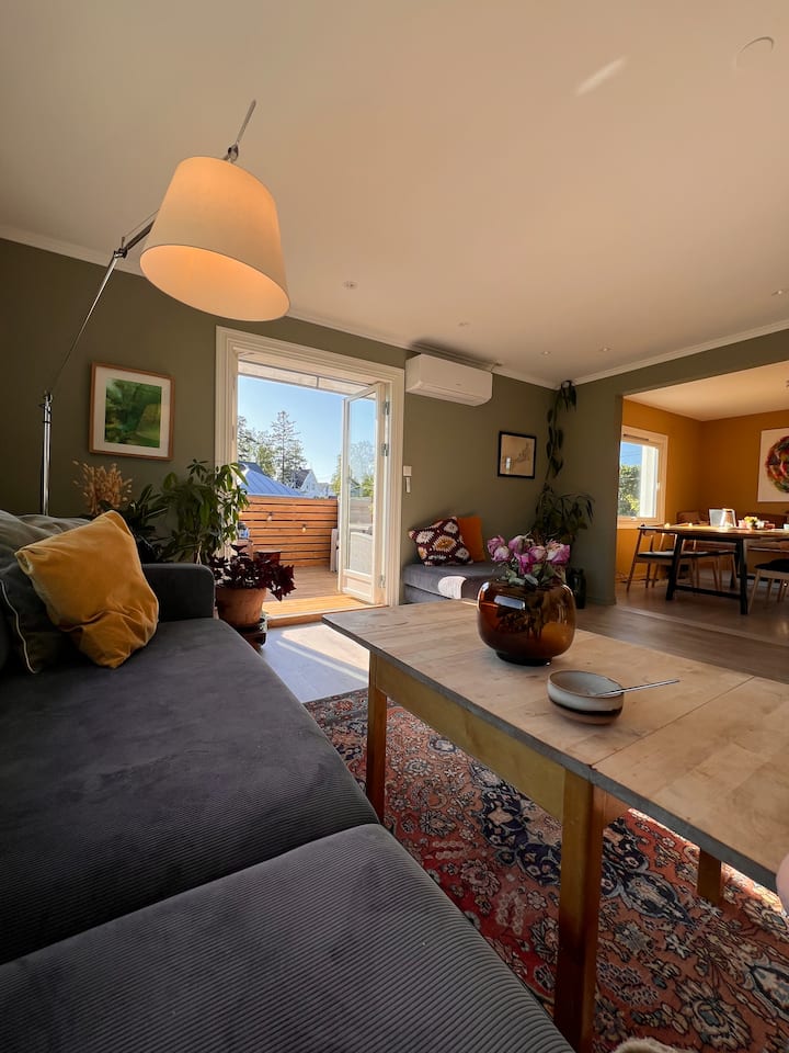 Lekker Del Av Firemannsbolig Over 2 Plan- Solrik - Oslo