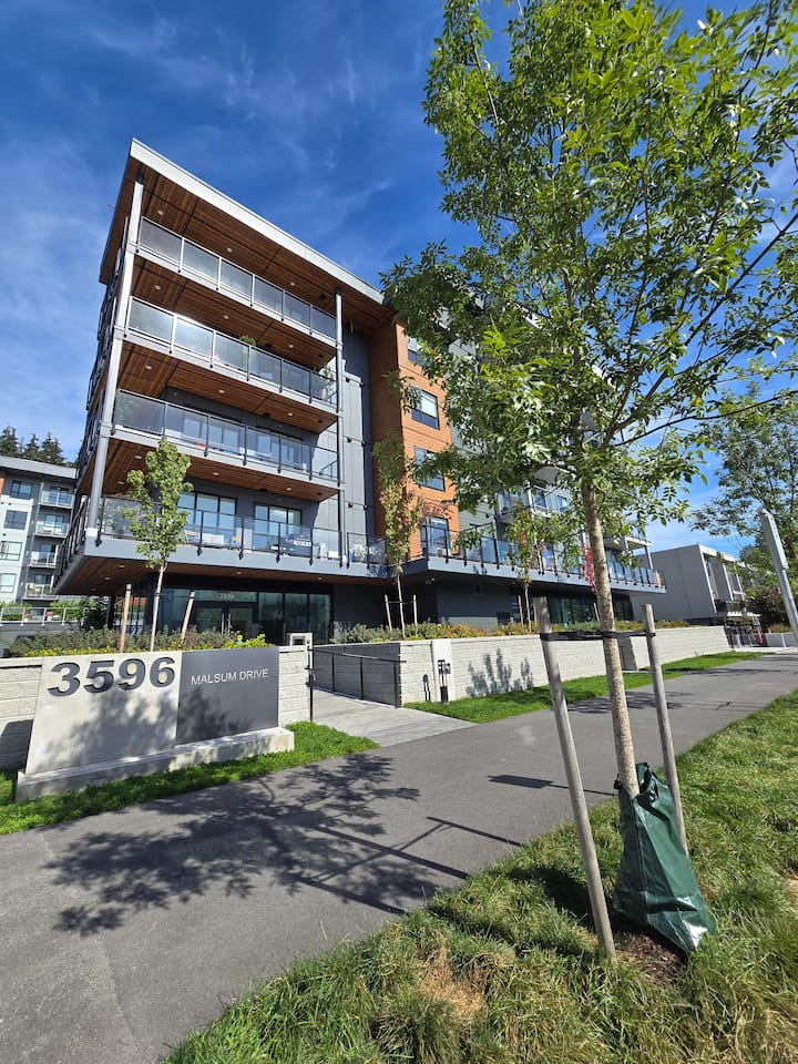 Enjoy Mountain, Walking Trails Close To Downtown - Mount Seymour