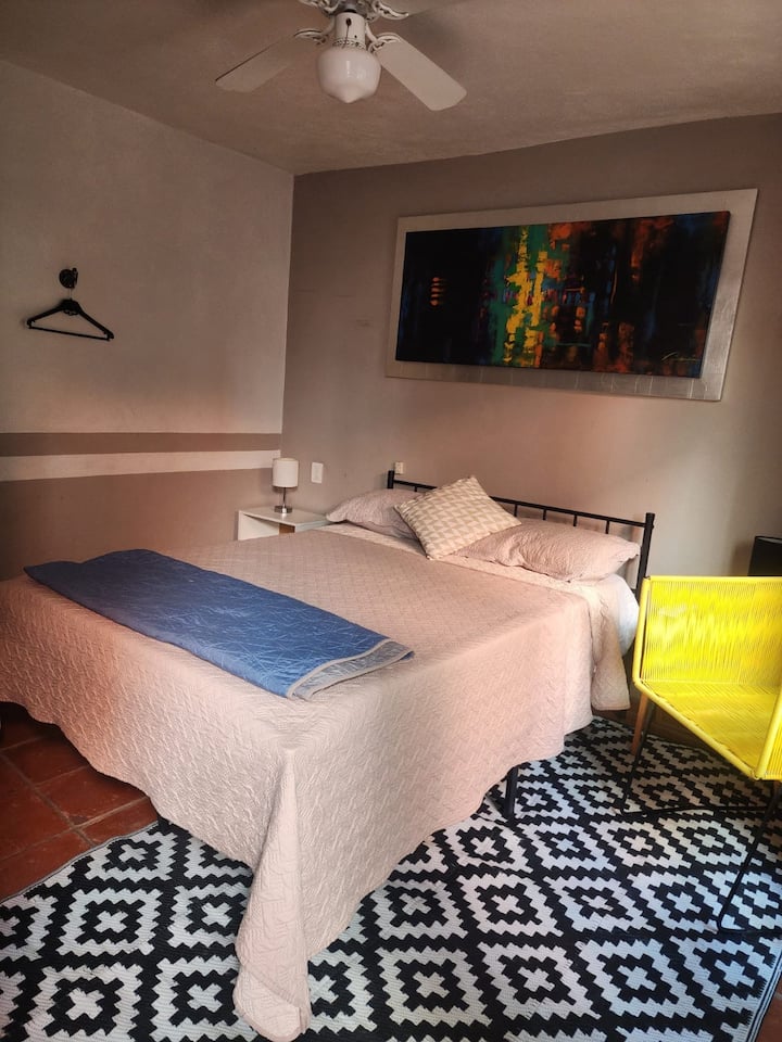 Colibríes - San Miguel de Allende