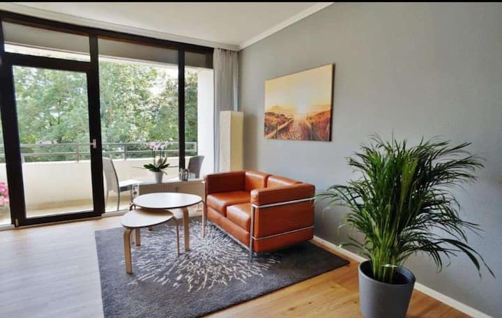 Sonnige Möblierte Und Modernisierte 1-zi Wohnung - Wiesbaden