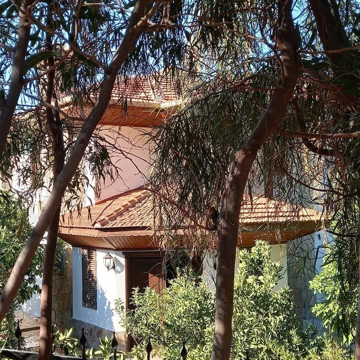 Datça/mesudiye'de,deniz Ve Doğa Manzaralı - Mesudiye