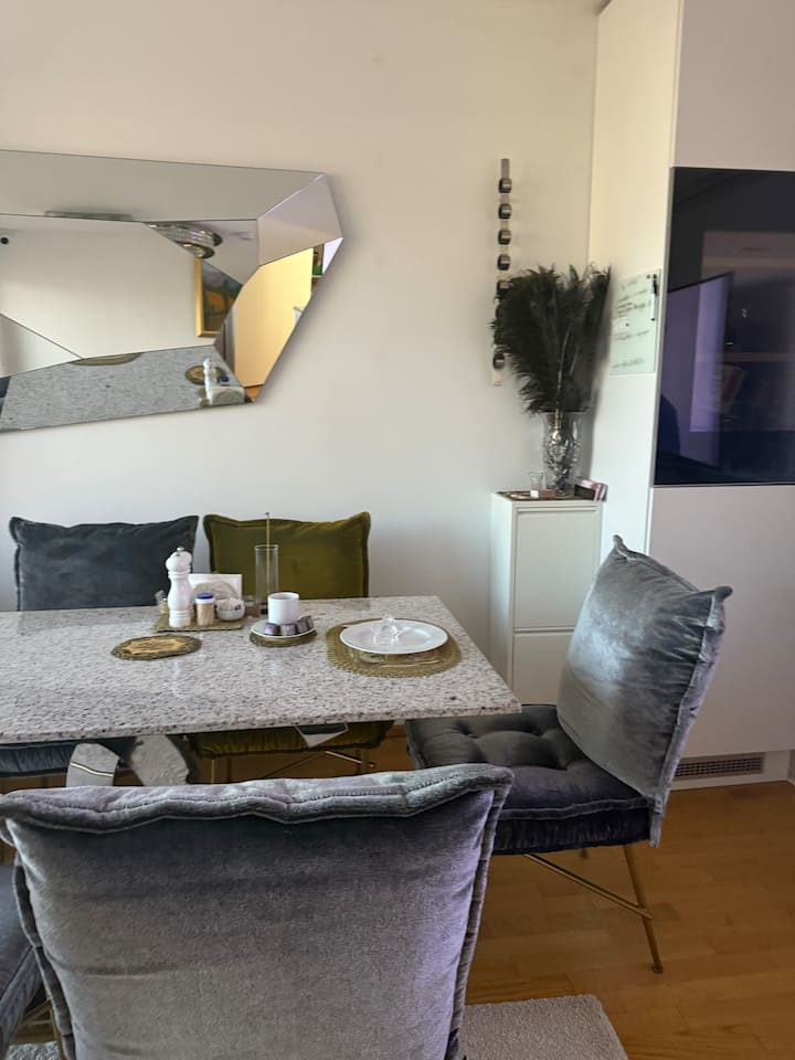 Wunderschöne Wohnung In Zentrum - Vienna