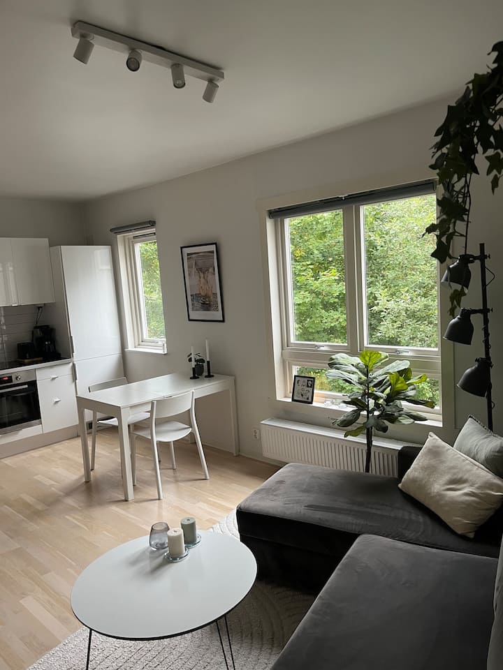 Leilighet På Sagene - Oslo