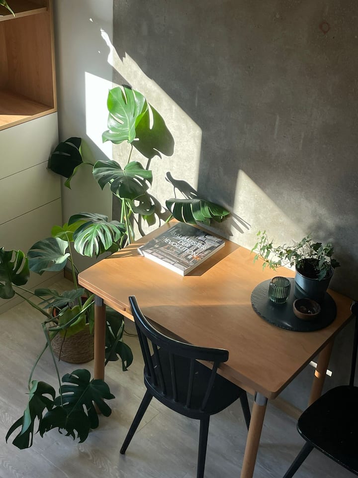 Maisonette Appartement - Bonn