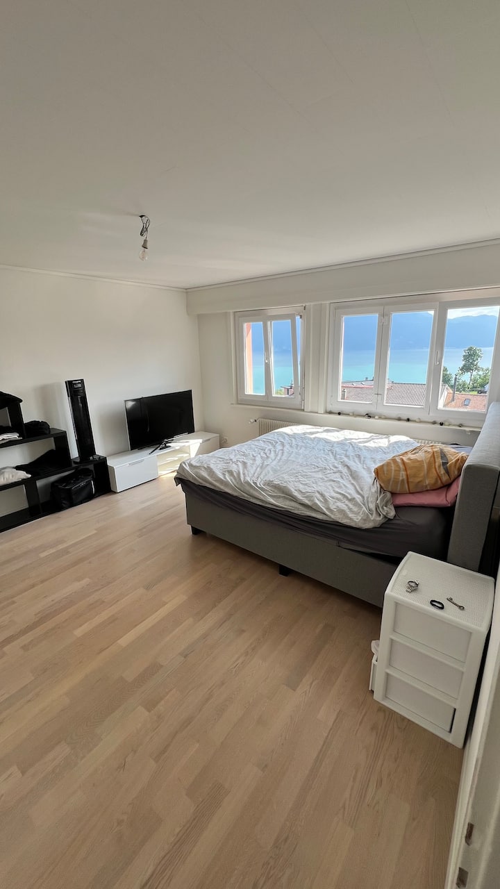 Charmant Spacious Appartments With View Lake - Vevey