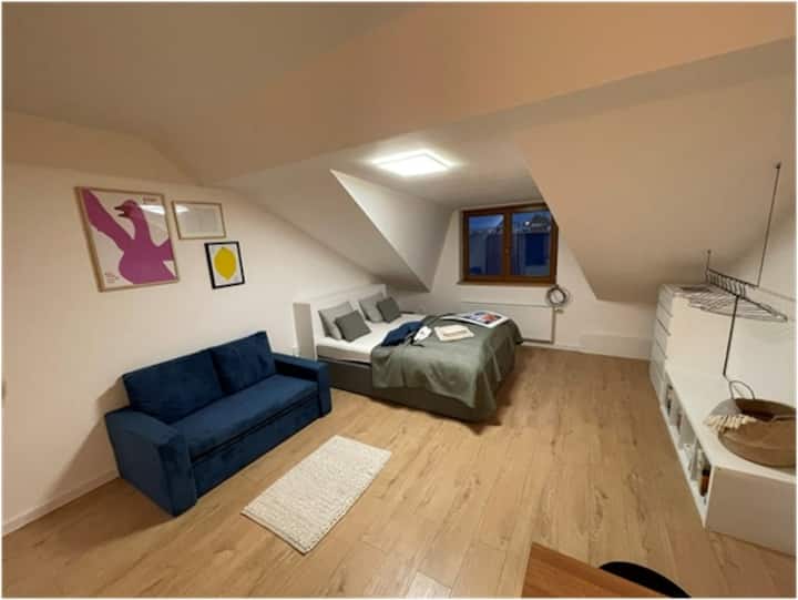 Proste_terezska - Olomouc