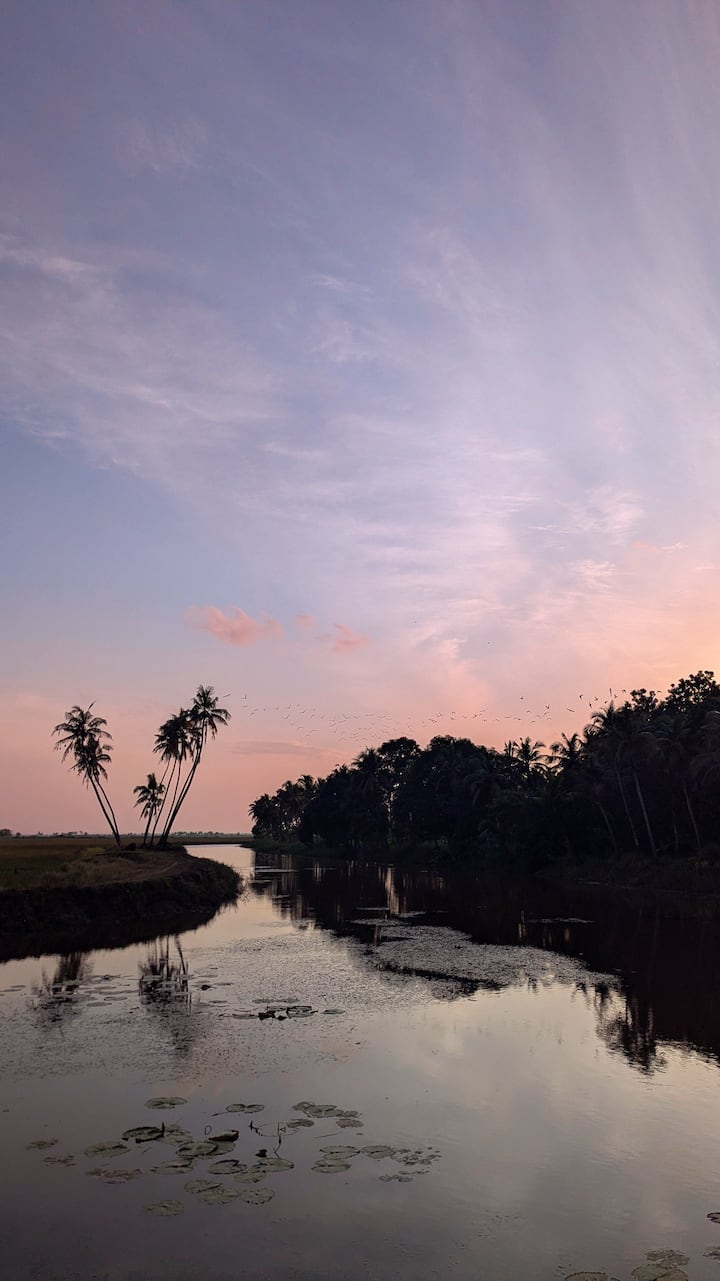 Scenic Farm House Cabin In The Heart Of Thrissur. - Thrissur