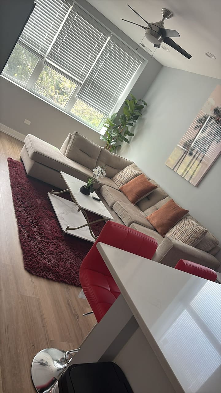 Large Group Getaway|two Units Chicago Bronzeville - 芝加哥