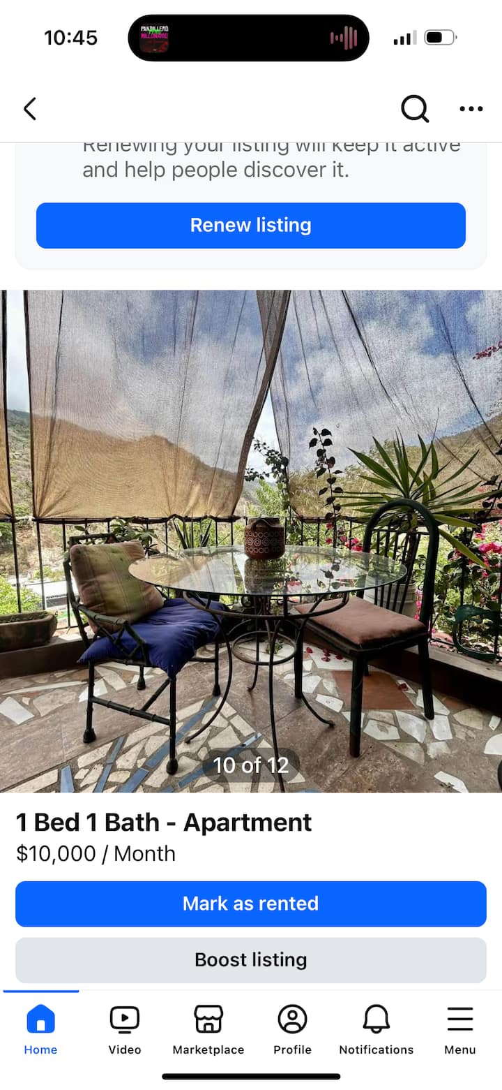 Cozy Nature Stay • River Views - Puerto Vallarta