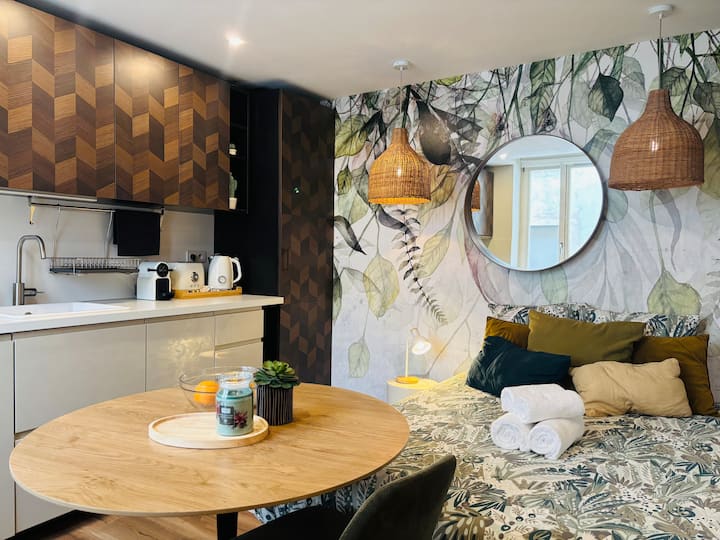 Le Passage Bottin - 5min Gare - Hypercentre - Nancy