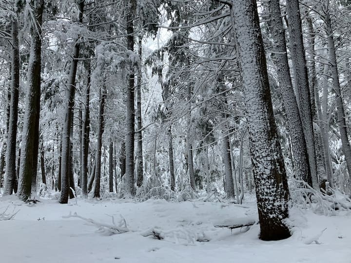 Gitchee Gumee Gateway - Public Beach, Ontonagon