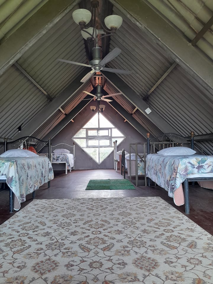 Nature Nest - Panama City