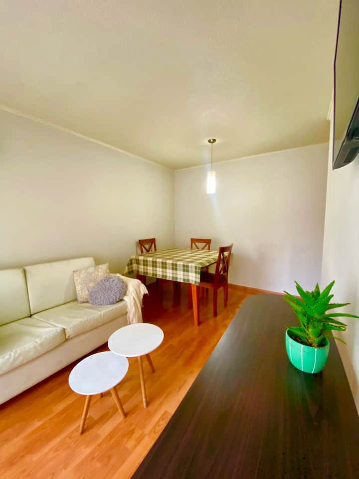 Loft En La Moneda - Santiago, Chile