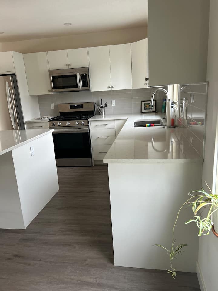 Huge&sunny 1 Bdrm, Garage Avail, Meals To Order - Calgary