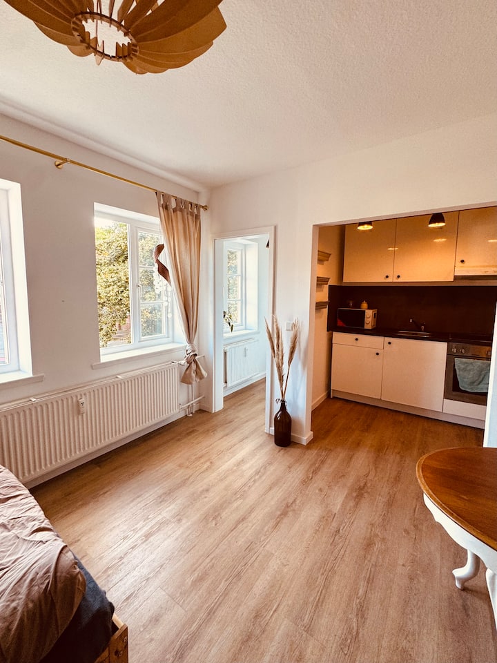 Charmantes Einzimmer-apartment In Zentraler Lage - Flensbourg