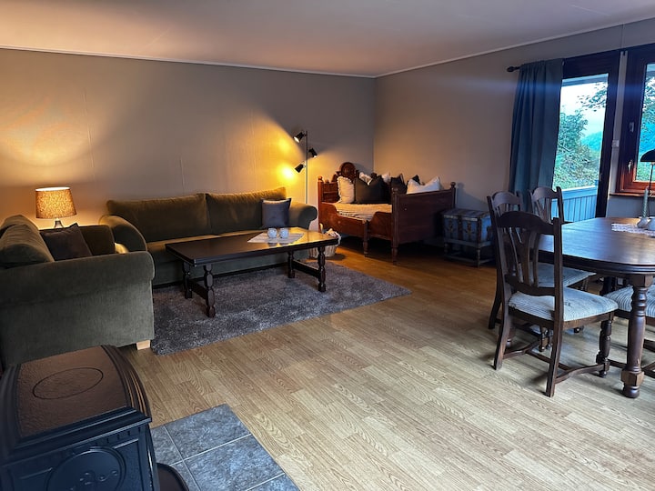 Koselig Feriehus Med God Plass Og Nydelig Utsikt. - Seljord