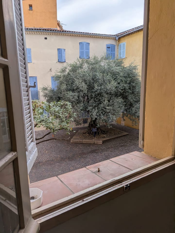 Grand Appartement. Cantre Historique De Fréjus - Fréjus