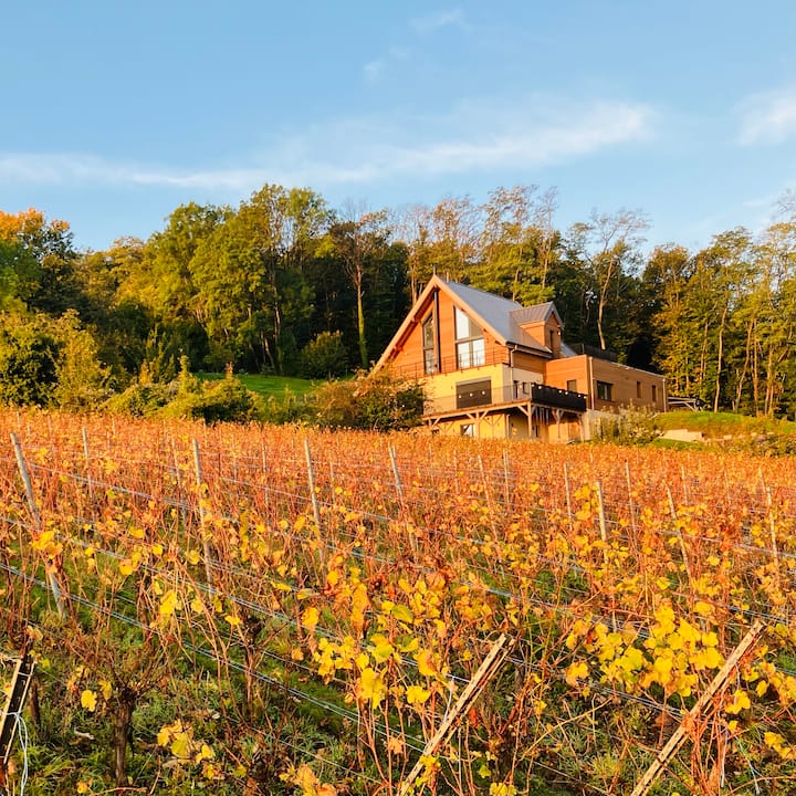Chalet Des Vignes - Bed And Breakfast - Bergheim, France