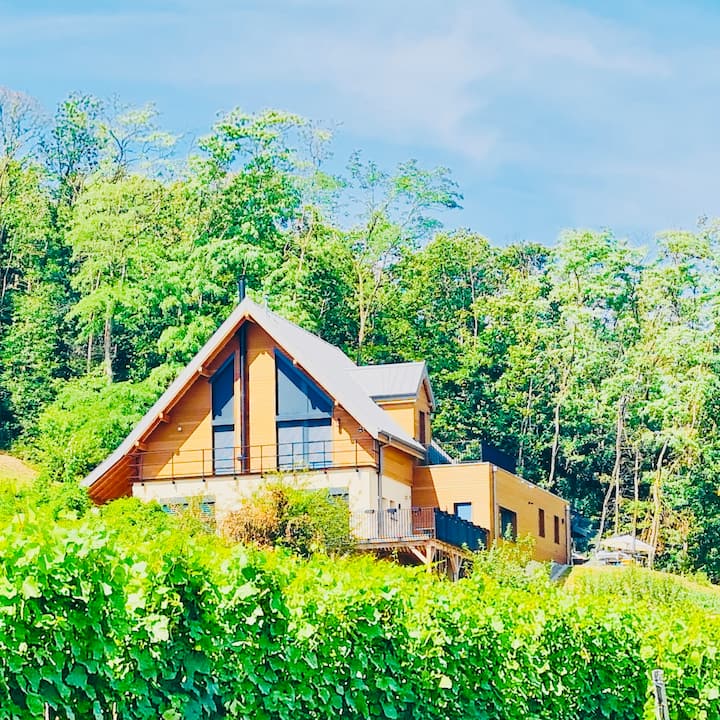 Chalet Des Vignes - Bed And Breakfast - Ribeauvillé