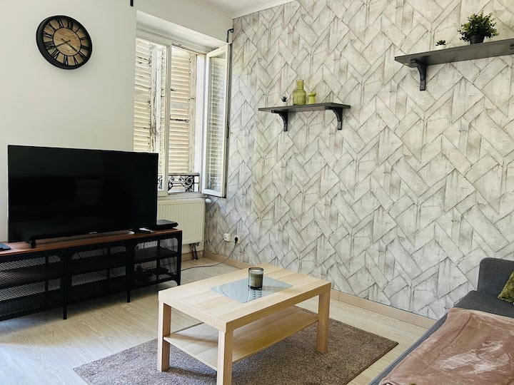 Appartement " Le Paris" Jusqu'à 6 Voyageurs - Mulhouse