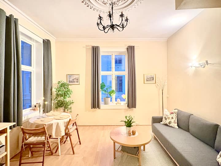 Hjemmekoselig Og Sentralt I Oslo, Rett V/park - Oslo