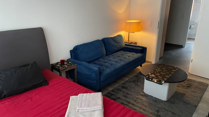 Stylish Apartment For 2 Guests - Mannheim