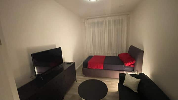 City Apartment Mannheim - Mannheim