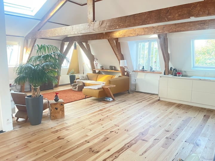 Beautiful Appartement In Attic Monumental Building - Utrecht