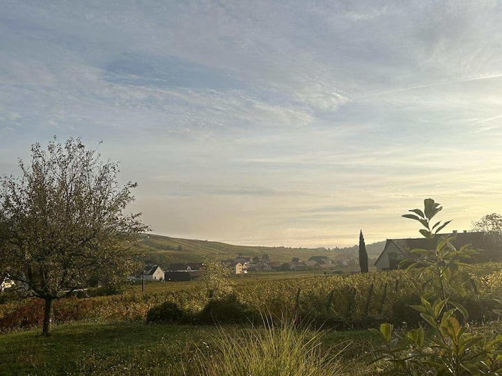 Le Petit Riquewihr, Place Privée, Centre à Pied - Riquewihr