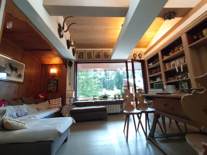 Family Cosy Apartment Rented For The Olympics - Cortina d'Ampezzo