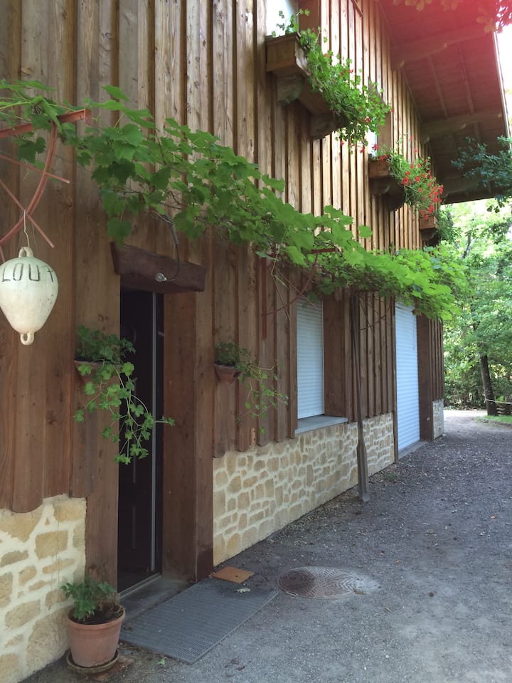 Le Clos Des Anciennes - Lanton