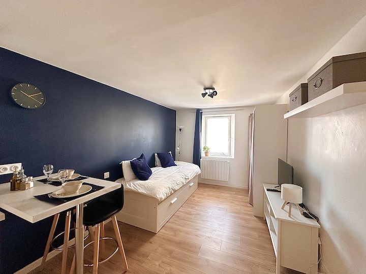 Studio Moderne - Proche Suisse & Stations Jura - Saint-Genis-Pouilly