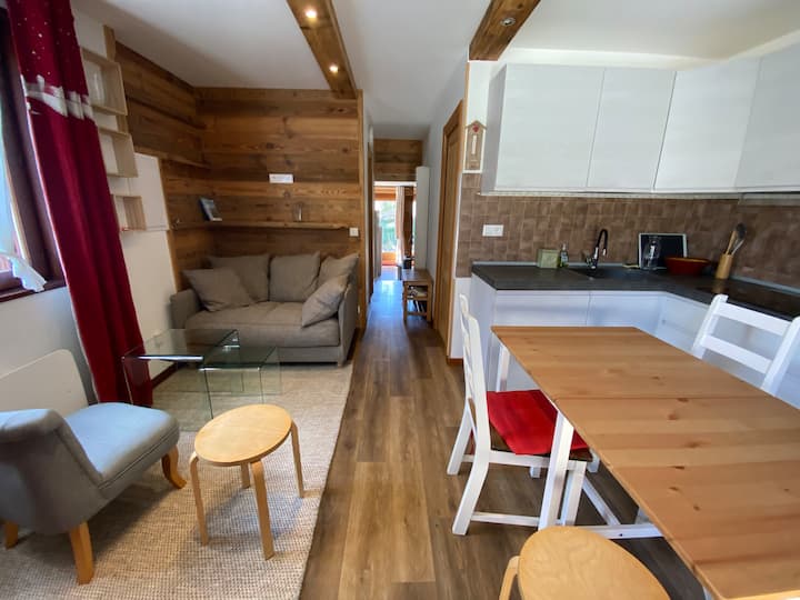 Appartement Cosy Face Aux Pistes 4 Personnes - Monginevro