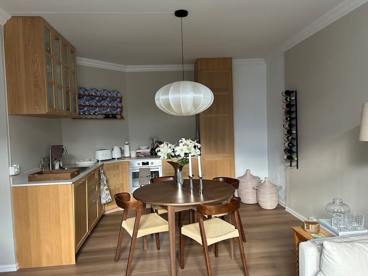 Koselig Leilighet Midt I Oslo Sentrum - Oslo
