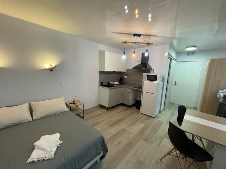 Le Nid Des Sources Studio Meublé - Bourbonne-les-Bains
