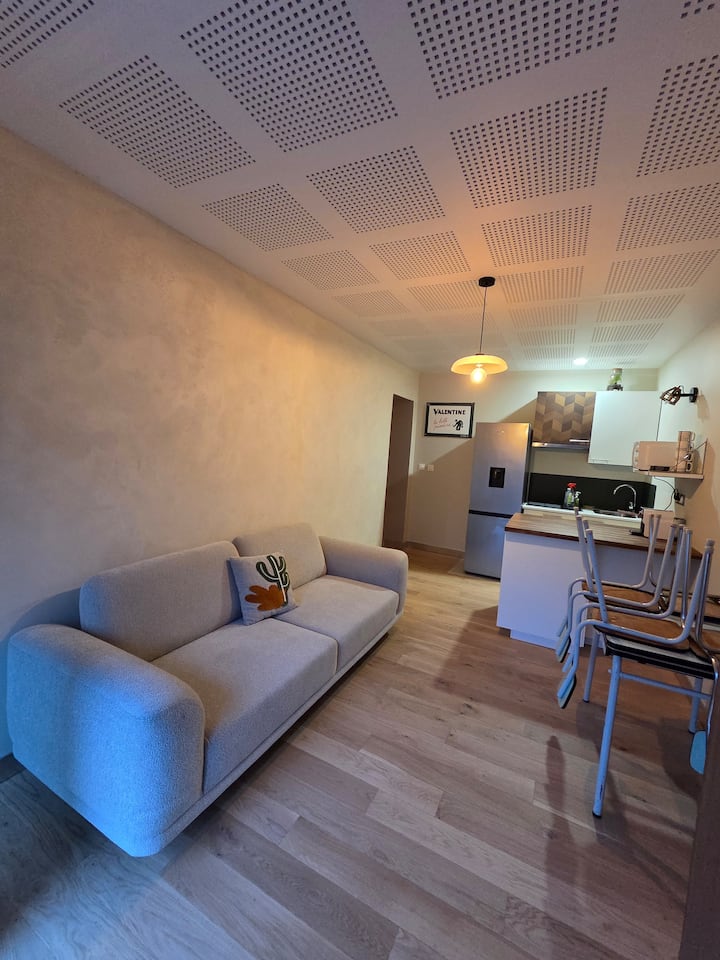 Appartement Neuf Vérin - Ampuis