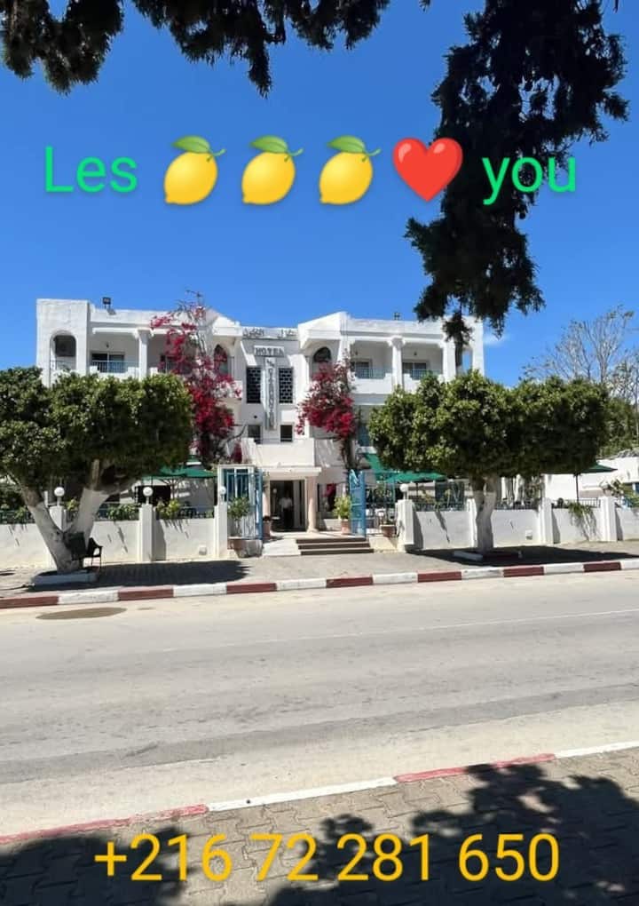 Hôtel Les Citronniers Hammamet Chambre 1 P - Hammamet