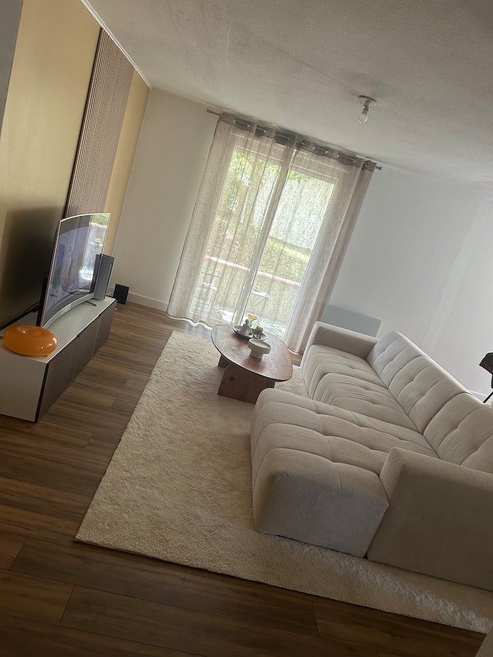 Appartement T2 50m² Avec Terrasse à Auch. - Auch