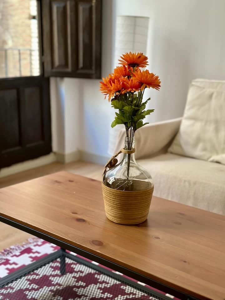 "Duplex Naranjo": Logement Pour Les Jeunes - Granada