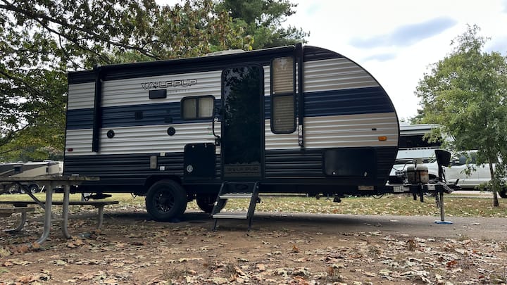 The Wolf Pup @ Khp - Lexington, KY