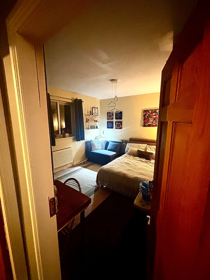 Large Double Room With Kitchenette And Sofa Bed - Dublín