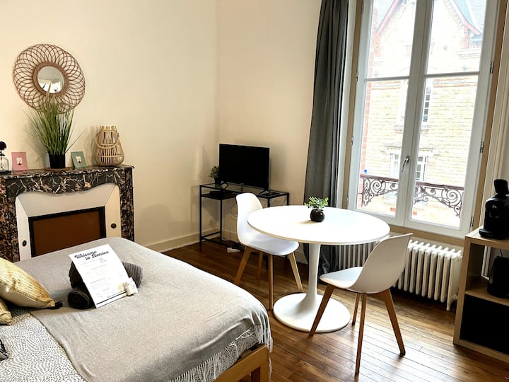 Joli Studio Au Calme Proche Parc Du Thabor/centre - Rennes